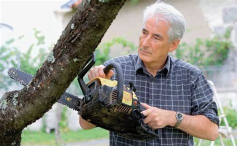 Подрязване на дървета Поддръжка 2025