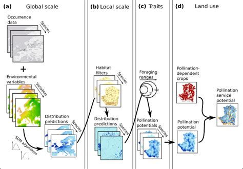Flow Chart Representing The Different Steps Of The Hierarchical