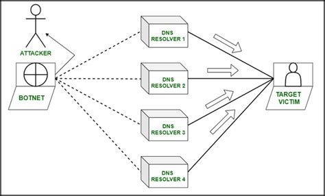 What Is A Dns Amplification Attack Geeksforgeeks
