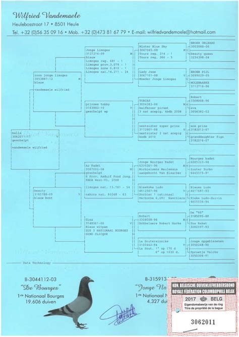 081 B17 3062011 Bella ♀ De Duif