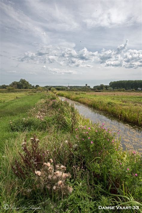 Fotogeniek België Fotos Damse Vaart