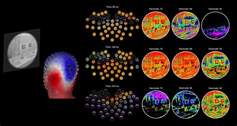 New Brain Mapping Technique Reveals Neural Code Of Vision Processing Over Time