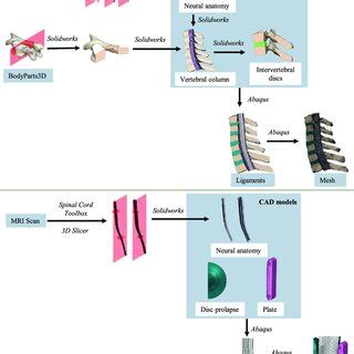 Flow Chart Illustrating Construction Of Finite Element Models Upper Download Scientific