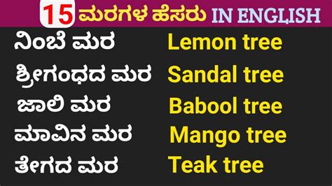 Names Of Trees In English Basic English Vocabulary Basicenglish Kannadatoenglishlearning