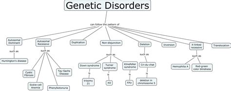 Human Genetic Disorders Leading Cause Of Deaths From An Awareness