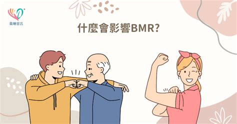 基礎代謝率是什麼如何計算公式男女的正常值為多少能提高bmr的運動及食物有哪些 張馨云營養師的食繪宣言