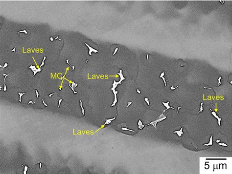 Sem Bse Micrograph Of An Interdendritic Region Of Fz Of Aswelded G27 Download Scientific Diagram