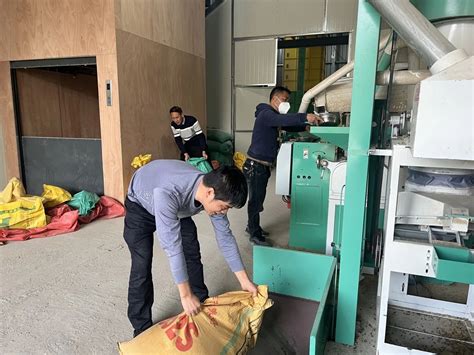 托溪乡坪坑村把群众关心的每件事办好 乡镇快讯 寿宁新闻网