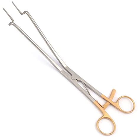 Cervical Orgasms Prowank