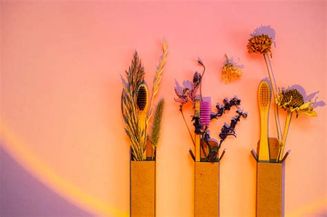 분홍색 배경에 말린 꽃과 제로 와스트 여러 가지 빛깔의 대나무 칫솔 나무 개인 치과 치료 액세서리 플라스틱 무료 친환경 지속 가능한 라이프스타일 컨셉 재활용자재에 대한 스톡