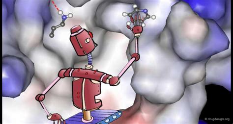 Principles Of Structure Based Design Drug Design Org