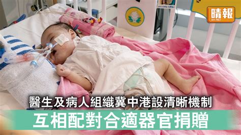 器官移植｜醫生及病人組織冀中港設清晰機制 互相配對合適器官捐贈 晴報 時事 要聞 D221219