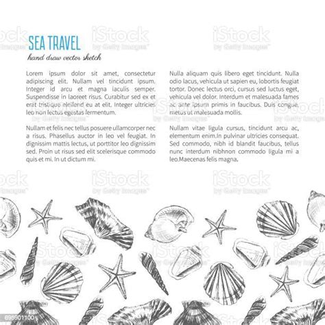 조개 손으로 그려진된 벡터 흰색 배경 장식 프레임 테두리 수 중 예술 해양 질감 템플릿 레이블 카드 뷰티 살롱 레스토랑에 대 한 레이아웃 디자인에 고립 된 스케치를 에칭