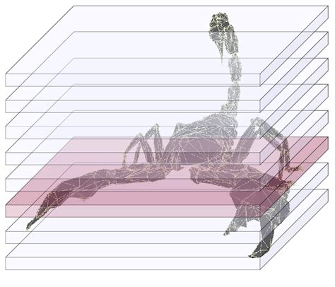 Several Render Passes Through The Model Create The Voxel Representation Download Scientific