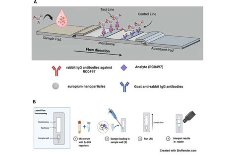 Rapid Antigen Based Assay Can Detect Tick Borne Diseases Before