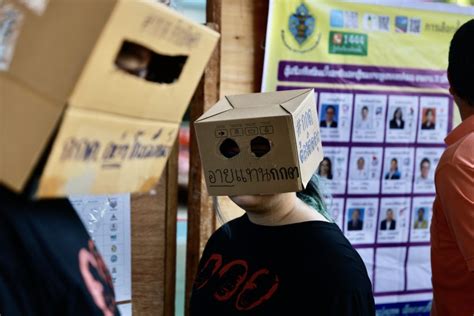 เพนกวิน พาน้องสาว สวมกล่องครอบศีรษะ แซะกกต