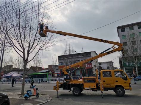 国网辉县市供电公司：运维消缺修剪树 电网安全扫通途 大河新闻
