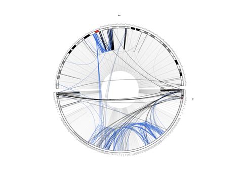 Introduction To Circos Circos Circular Genome Data Visualization