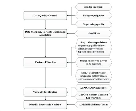 Data Analysis Process Of Exome Sequencing Download Scientific Diagram