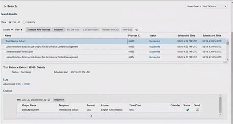 Process Description For Integrating Oracle Erp Cloud Data Using A Custom Query