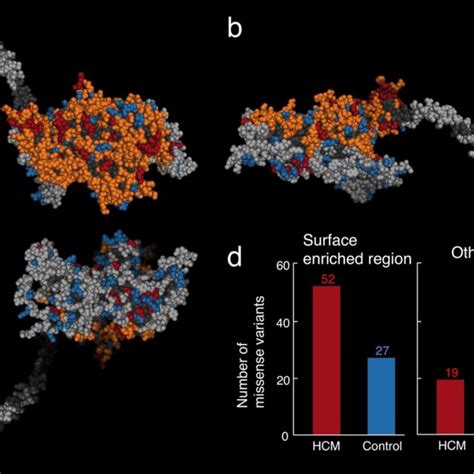 Surface Spatial Scan Analysis Identifies A Larger Surface Region
