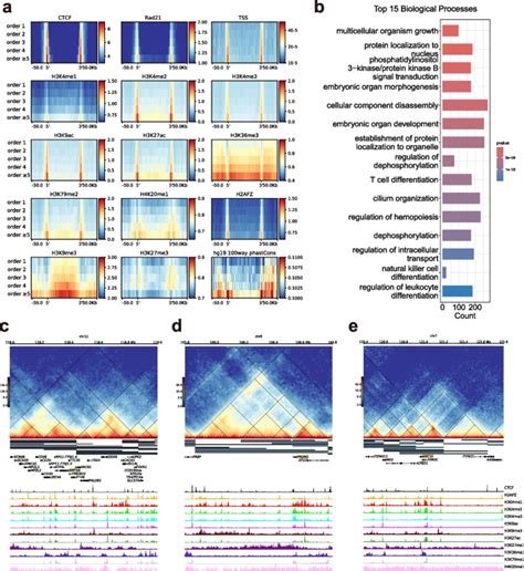 Htad A Human In The Loop Framework For Supervised Chromatin Domain Detection Pmc