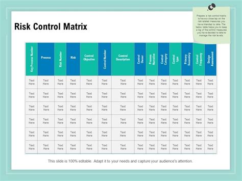 Vulnerability Assessment Methodology Risk Control Matrix Ppt Portfolio Vulnerability Assessment Methodology Risk Control Matrix Ppt Portfolio
