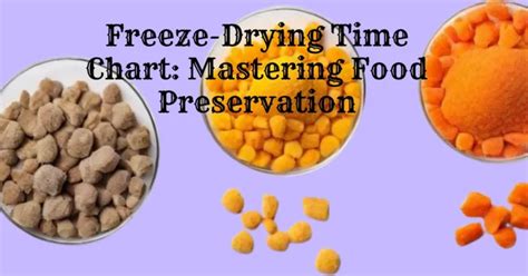 Freeze Dryer Archives • Asita Freeze Dryer