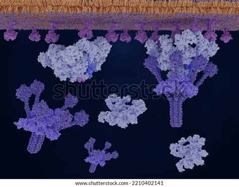 Protein Complementation Images Stock Photos Vectors Shutterstock
