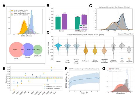 Esm1b Is Suitable For Genome Wide Disease Prediction Of Coding Download Scientific Diagram