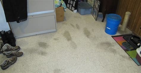 Best Carpet Cleaner And Stain Remover How To Remove Carpet Stains