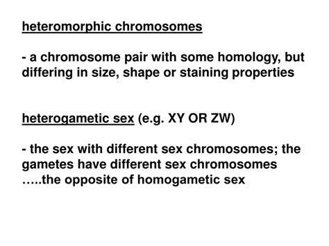 PPT SEX DETERMINATION PowerPoint Presentation Free Download ID