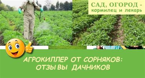 Агрокиллер от сорняков: инструкция по применению, дозировка, отзывы