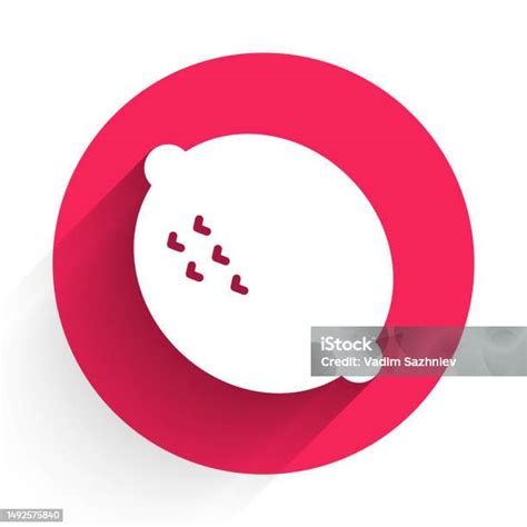 긴 그림자 배경으로 격리된 흰색 레몬 아이콘입니다 빨간색 원 버튼 벡터 0명에 대한 스톡 벡터 아트 및 기타 이미지 0명 감귤류 과일 과일 Istock