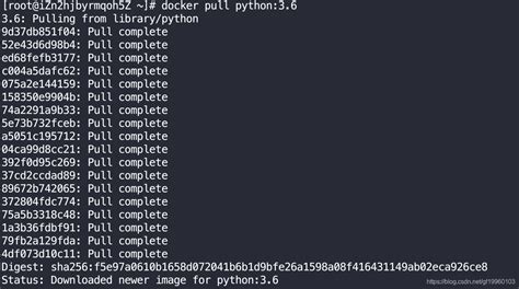 Docker容器化安装python、第三方包、制作镜像、内网部署docker安装python第三方库 Csdn博客