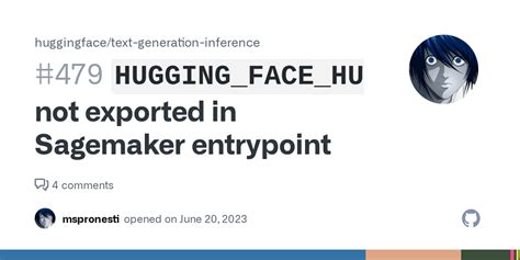 `huggingfacehubtoken` Not Exported In Sagemaker Entrypoint · Issue 479 · Huggingfacetext