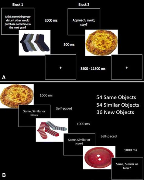 Example Of Encoding And Recognition Tasks A The Encoding Task