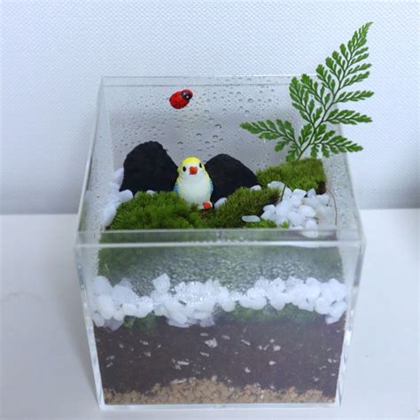 테라리움만들기 비단이끼키우기 이끼야 Diy키트 네이버 블로그