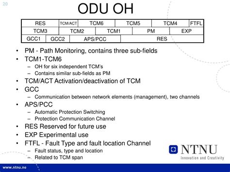 Ppt Optical Transport Network Otn Powerpoint Presentation Free