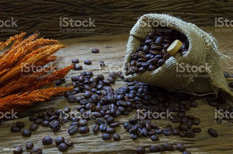 중간 또는 어두운 볶은 커피 콩의 내부와 외부 나무로 되는 숟가락 및 오래 된 나무 판자에 마른 쌀 자루 가방 더미 커피 개념 가방에 대한 스톡 사진 및 기타 이미지