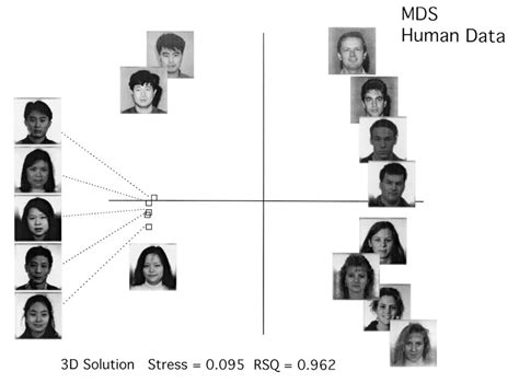 The Similarity Space Of Human Perception From Experiment 2 This Is A Download Scientific