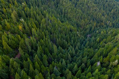 Adaptive Planning And Prioritization Ncrp Rffc