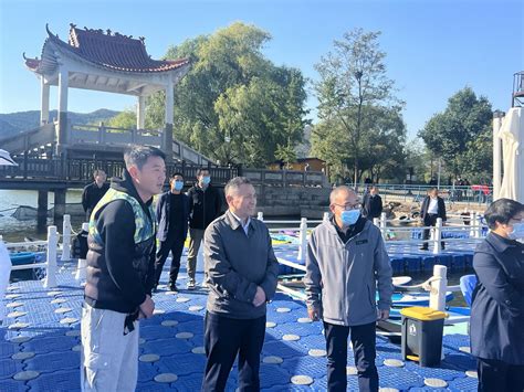 五柳风景区 五柳景区官网 五柳仙境 埇桥区五柳省级风景名胜区 宿州粉红沙滩 星河营地 门票预订 wlfjq
