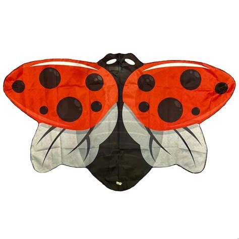Red Ladybug Wings Shop The Toy Room