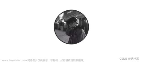 LeetCode数据结构二叉树必刷OJ题 Toy模板网