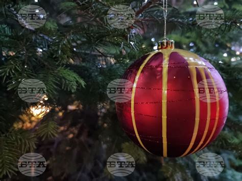 Благотворителна инициатива в Елхово събра близо 16 хил лева за лечението на 20 годишен мъж Утро