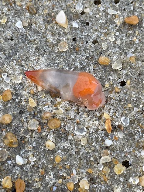 What The Heck Is This Sound R Minecraft