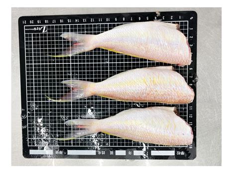 Vietnam Expo Itoyori Fillet Tail On