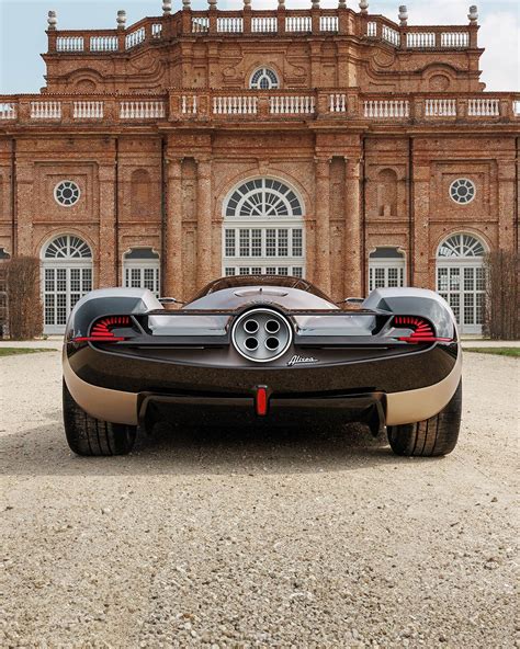 آلیشا ؛ هدیه ای برای روز تولد زوندا عکس