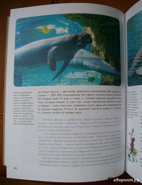 Книга: Мир животных. Рассказы о зверях крылатых, бронированных т.д ...